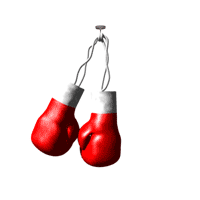 NEW WAVE CARDIO-BOX CROSSTRAINING AT THE NEW THELMA LOVETTE YMCA ...